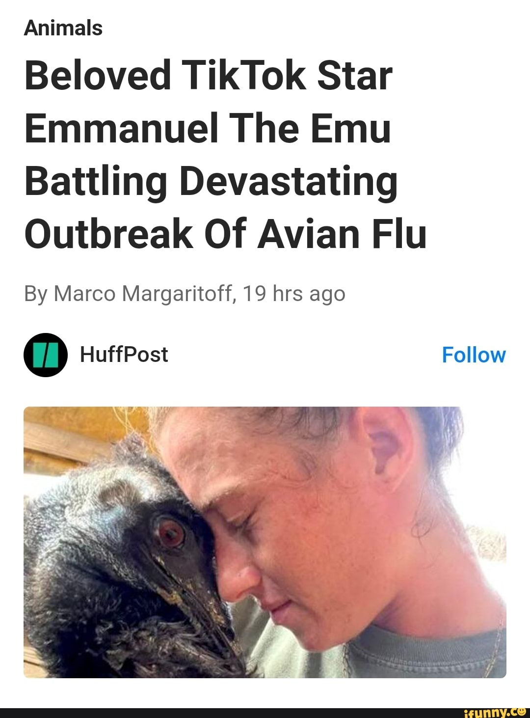 Animals Beloved TikTok Star Emmanuel The Emu Battling Devastating ...