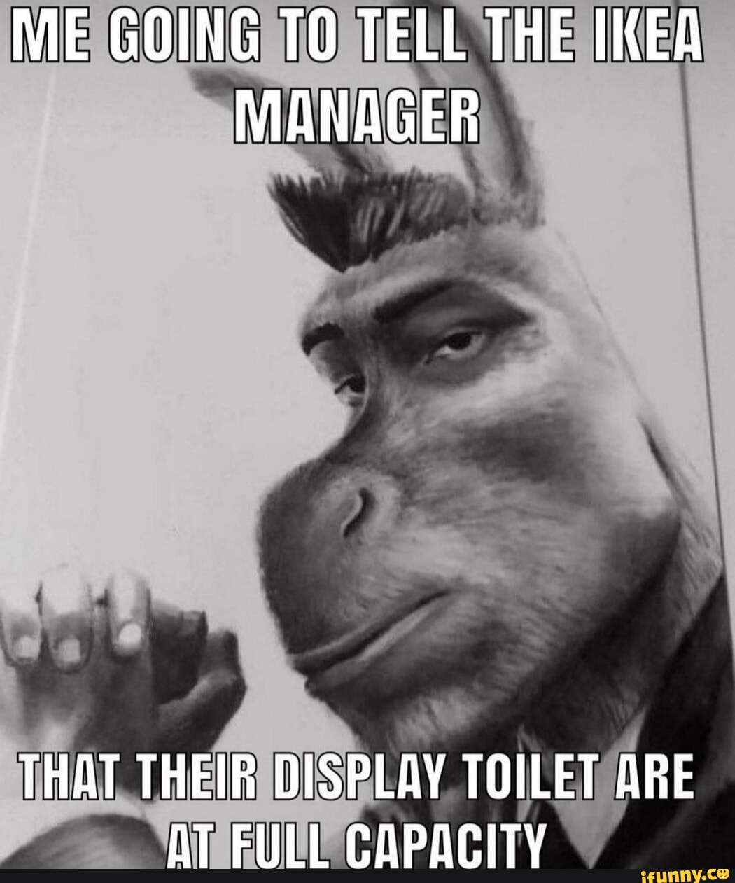 Funny Ikea Monkey Memes