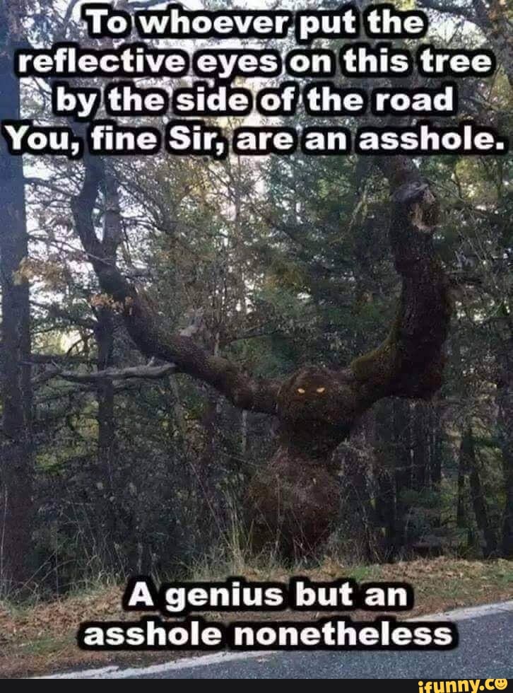 You Sir Are A Genius Meme