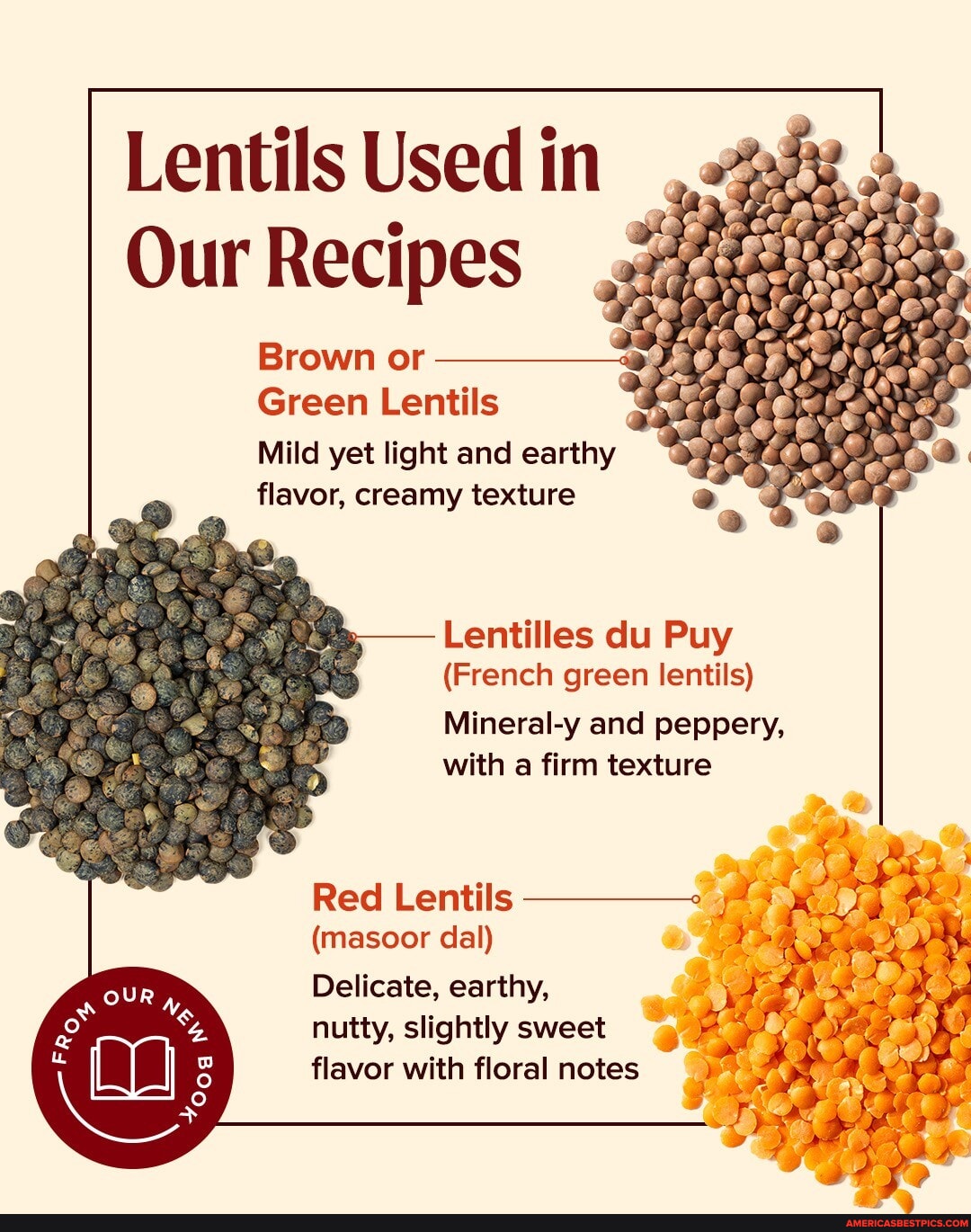 Here are some differences between the lentils we use in recipes in our ...