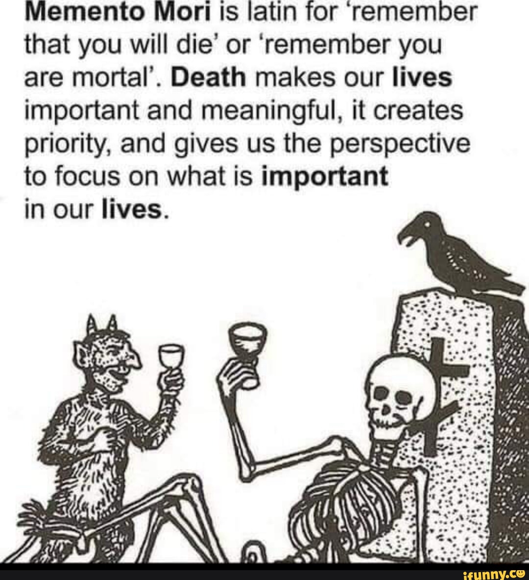 Mort memes. Best Collection of funny Mort pictures on iFunny