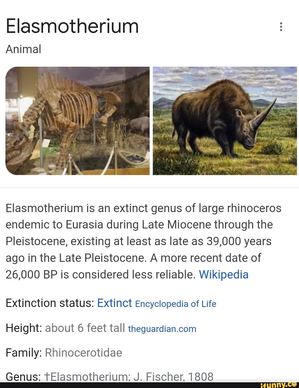 Elasmotherium Animal Elasmotherium is an extinct genus of large ...
