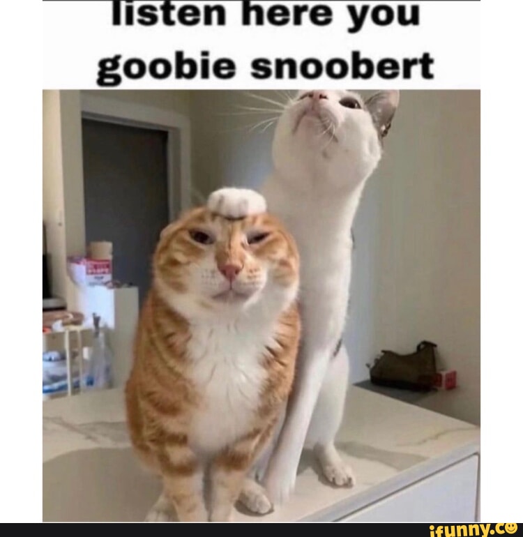 Video memes 4OA9B4csA by AlwaysReady420 - iFunny