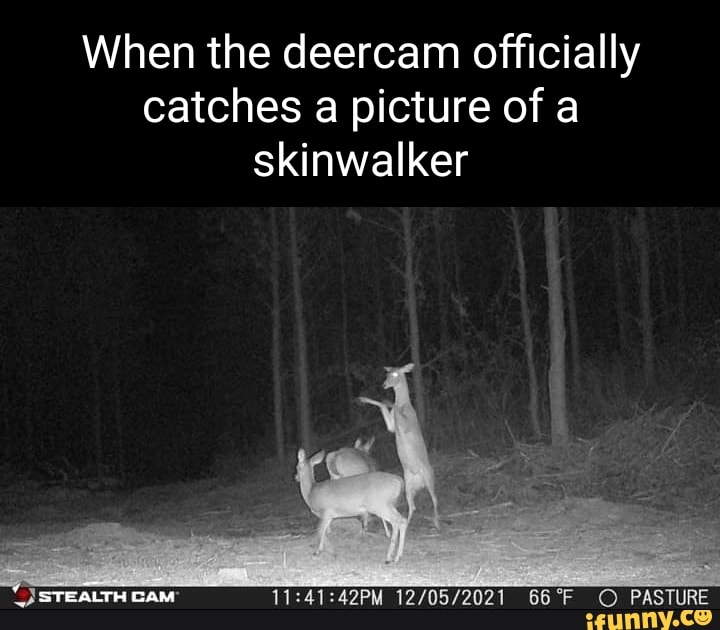 When the deercam officially catches a picture of a skinwalker STESLTH ...