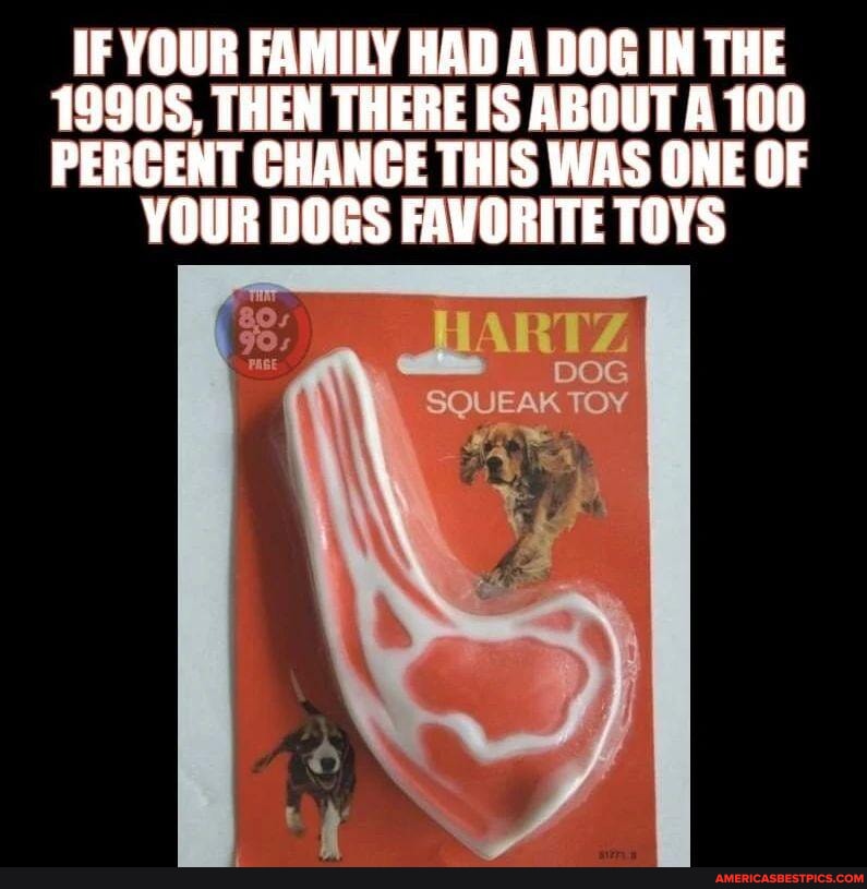 Not sure why, but this dog toy was a must own for every family that had ...