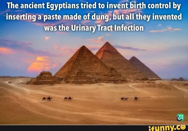 #ancientegypt #uti #health #science #dung - The ancient Egyptians tried ...
