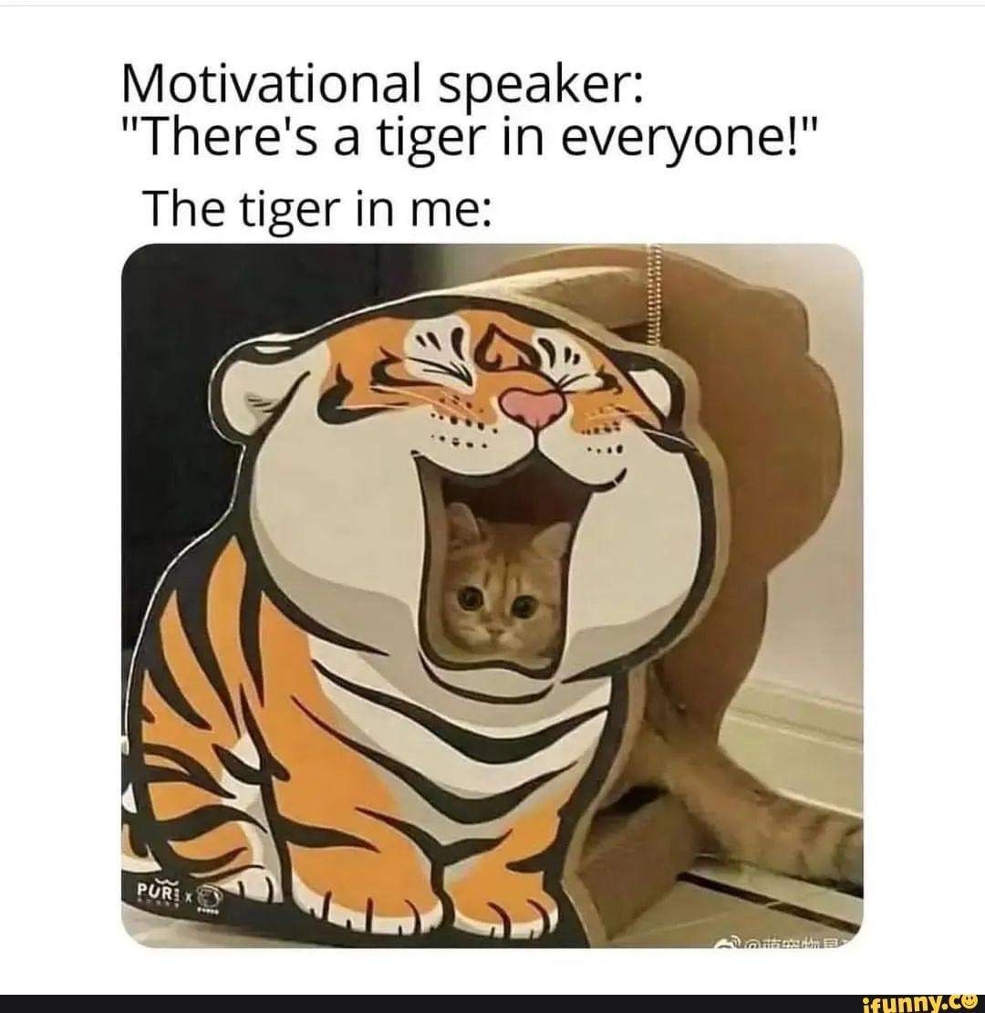 Motivational speaker: "There's a tiger in everyone!" The tiger in me ...
