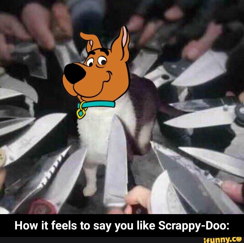 Scoobydoo memes. Best Collection of funny Scoobydoo pictures on iFunny