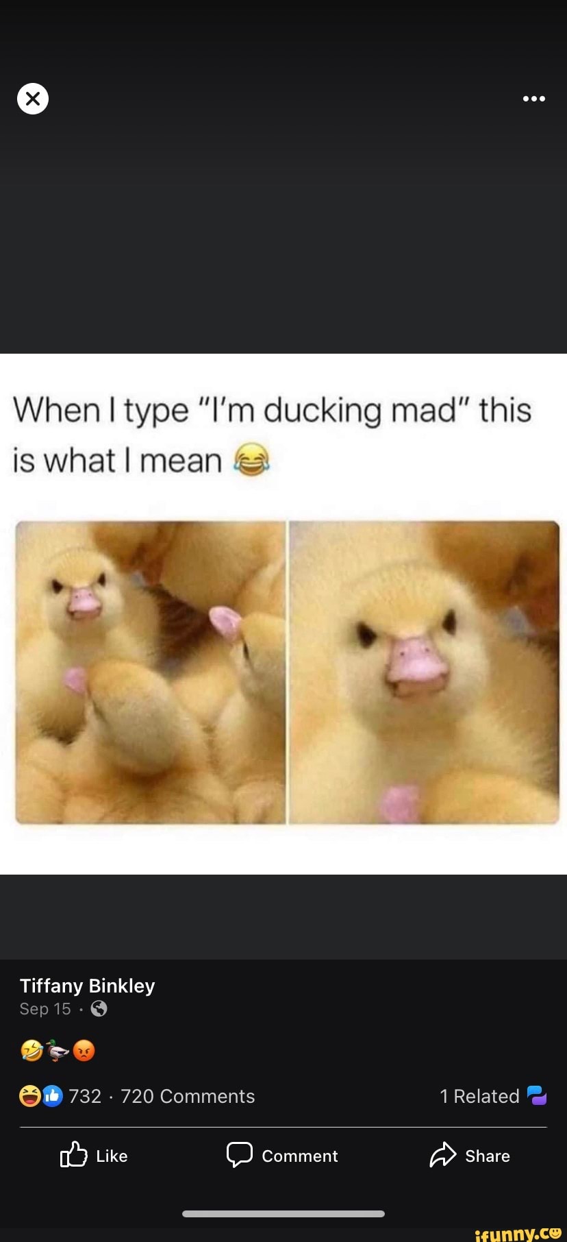 When I type "I'm ducking mad" this is what I mean & Tiffany Binkley Sep ...