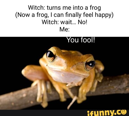 Witch: turns me into a frog (Now a frog, I can finally feel happy ...
