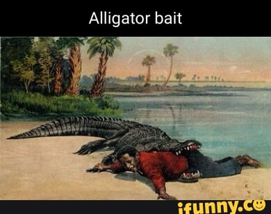 Alligator memes. Best Collection of funny Alligator pictures on iFunny