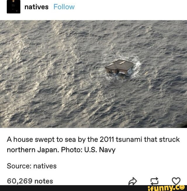 Oceanography memes. Best Collection of funny Oceanography pictures on ...