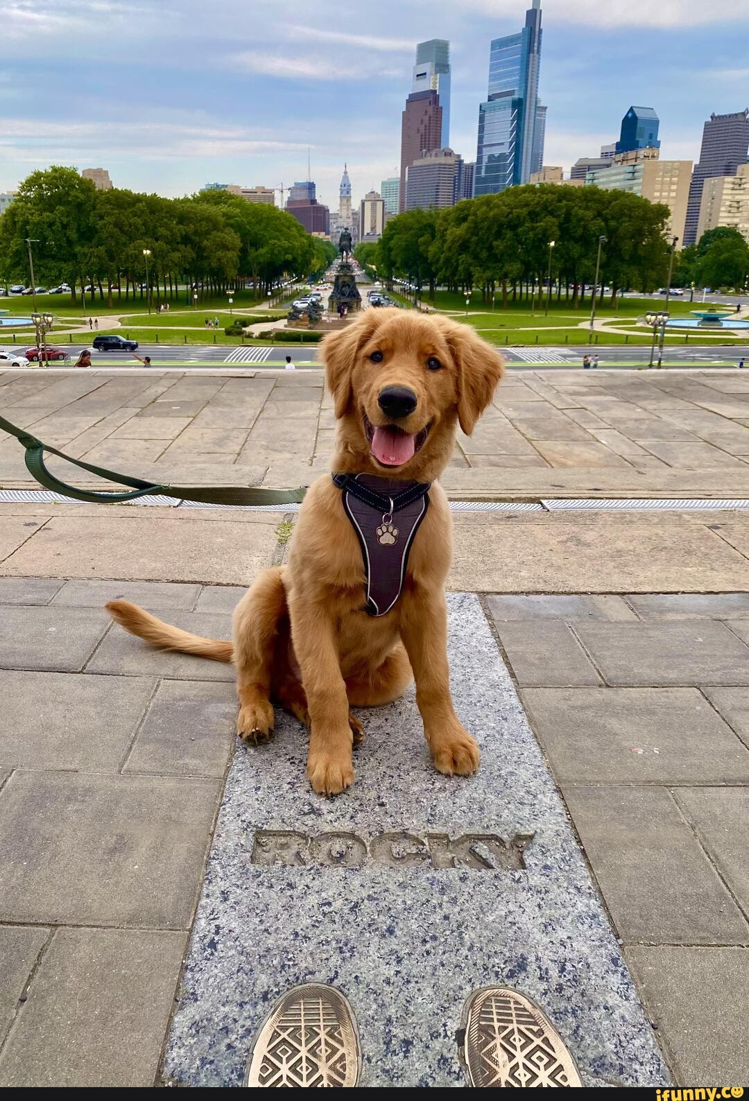 Naaaa memes. Best Collection of funny Naaaa pictures on iFunny