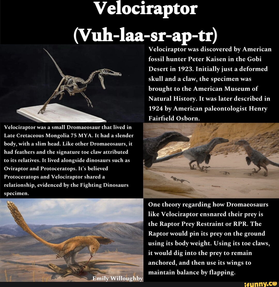 Dinosaurs memes. Best Collection of funny Dinosaurs pictures on iFunny