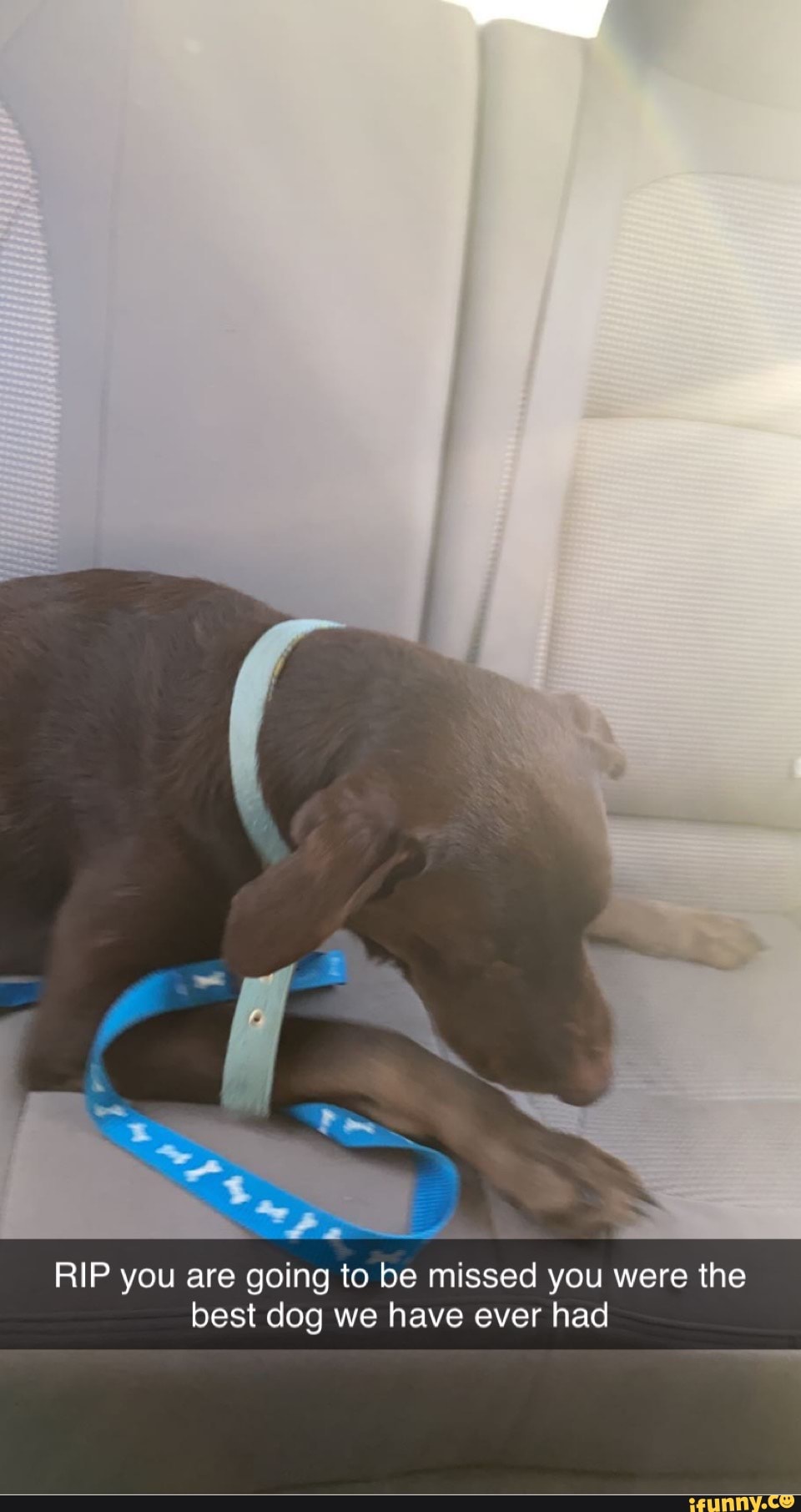 Picture memes bYuW5jfL6 by 89017_2017: 200 comments - )