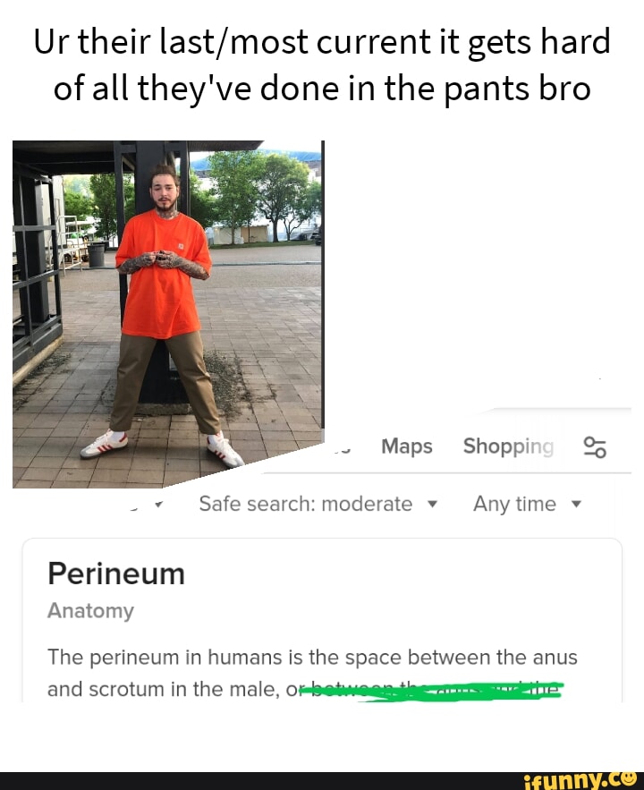 Perineum memes. Best Collection of funny Perineum pictures on iFunny