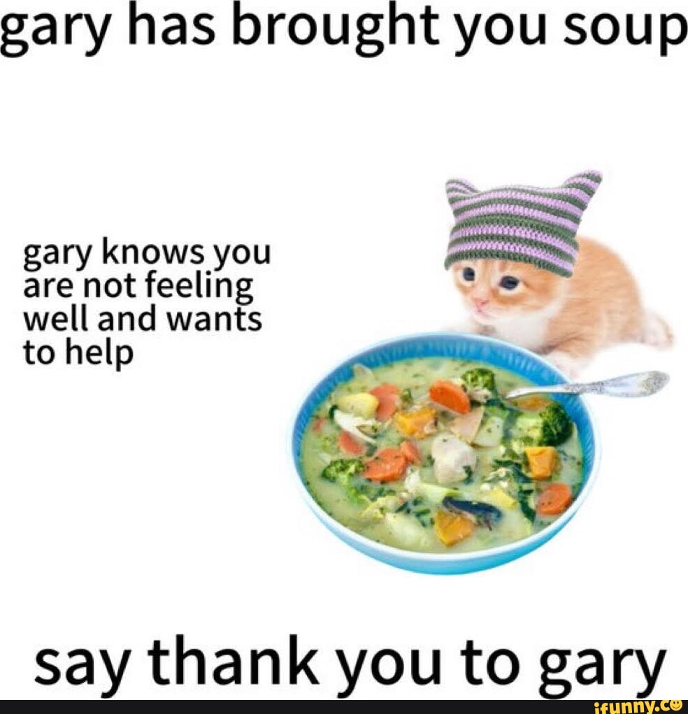 Gary has brought you soup gary knows you are not feeling well and wants ...