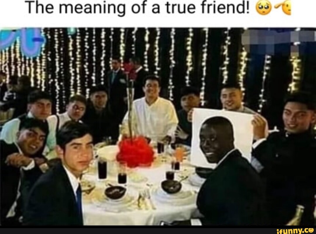 Florida man kidnaps scientist to make his dog immortal ALLOW IT! - iFunny