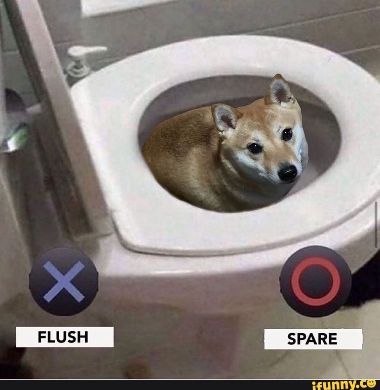 Fluse memes. Best Collection of funny Fluse pictures on iFunny