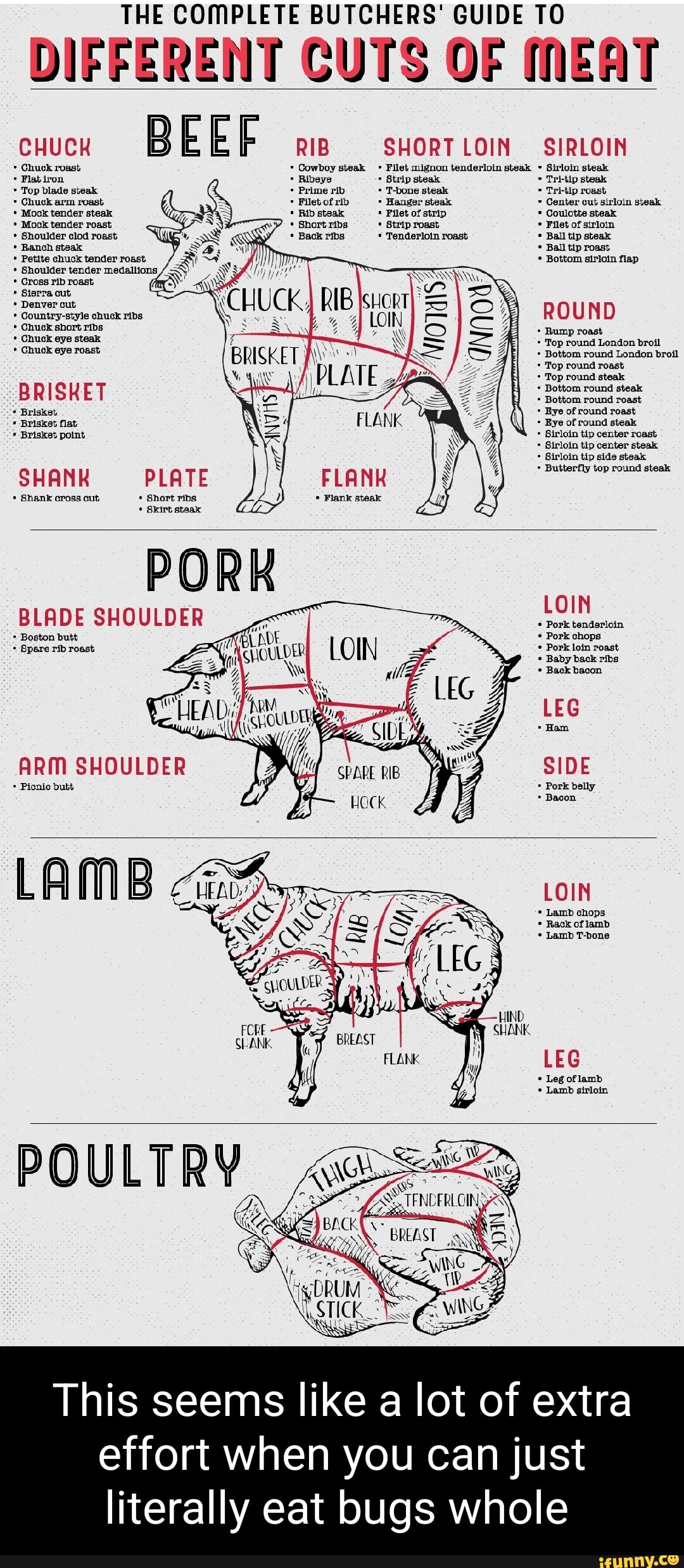 THE COMPLETE BUTCHERS' GUIDE TO DIFFERENT CUTS OF MEAT CHUCK E E F RIB ...