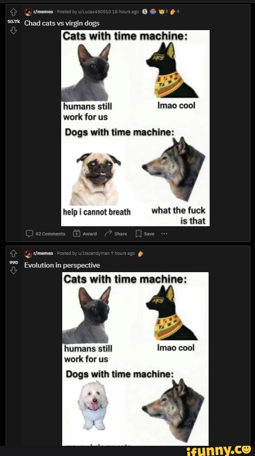Tmemes Chad cats vs dogs Cats with time machine: humans still Imao cool ...
