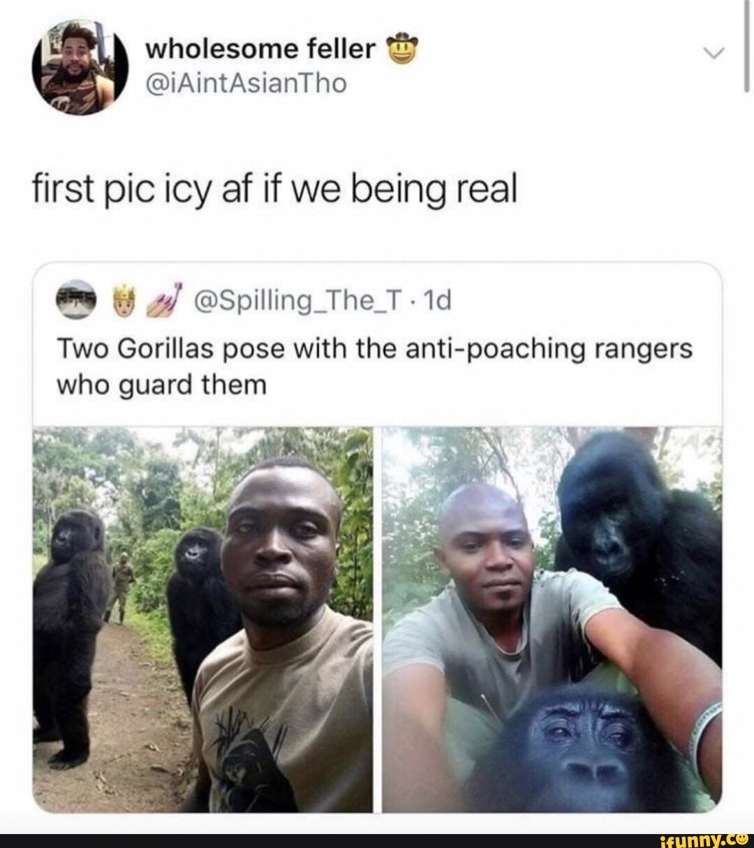 Feller memes. Best Collection of funny Feller pictures on iFunny