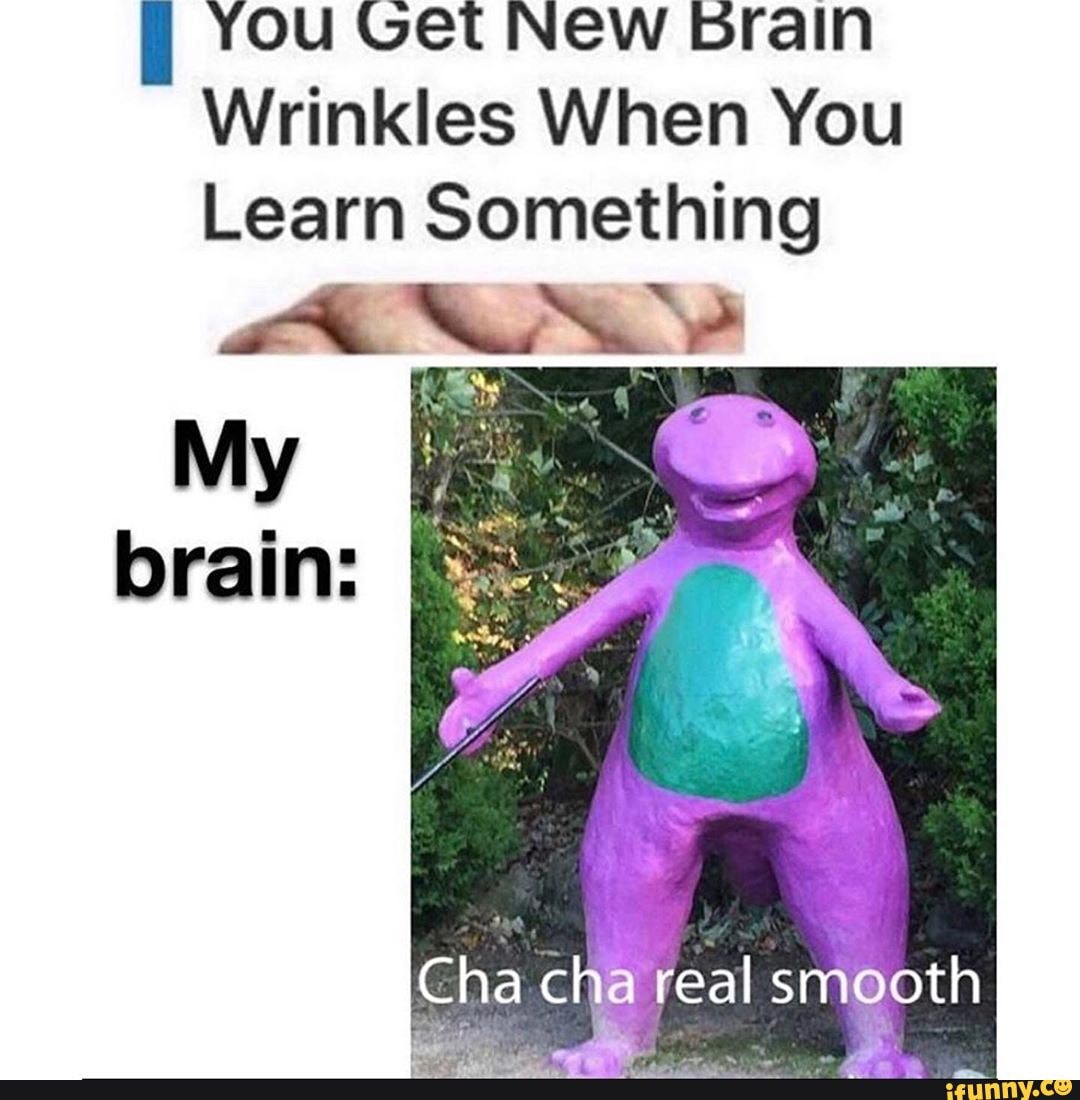 You Get New brain Wrinkles When You Learn Something SiN Y My brain: Cha ...