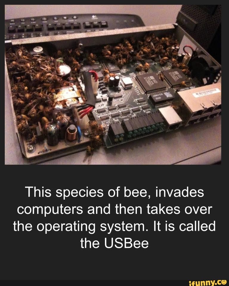 This species of bee, invades computers and then takes over the ...