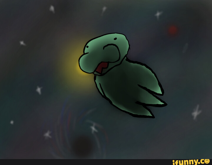 Borb memes. Best Collection of funny Borb pictures on iFunny