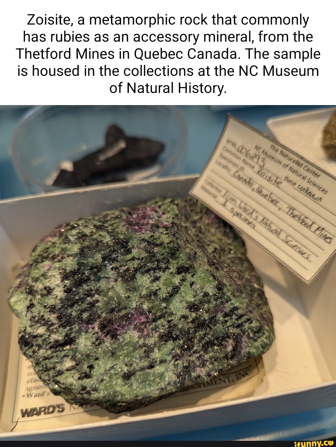 Ruby memes. Best Collection of funny Ruby pictures on iFunny