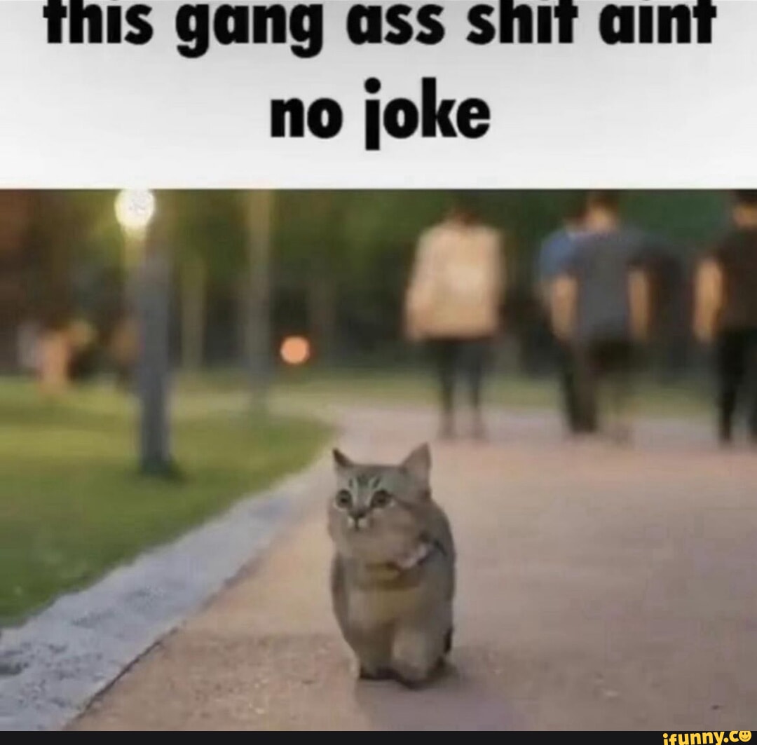 Picture memes EFERAIwY7 by Sans_Cipher: 3 comments - iFunny