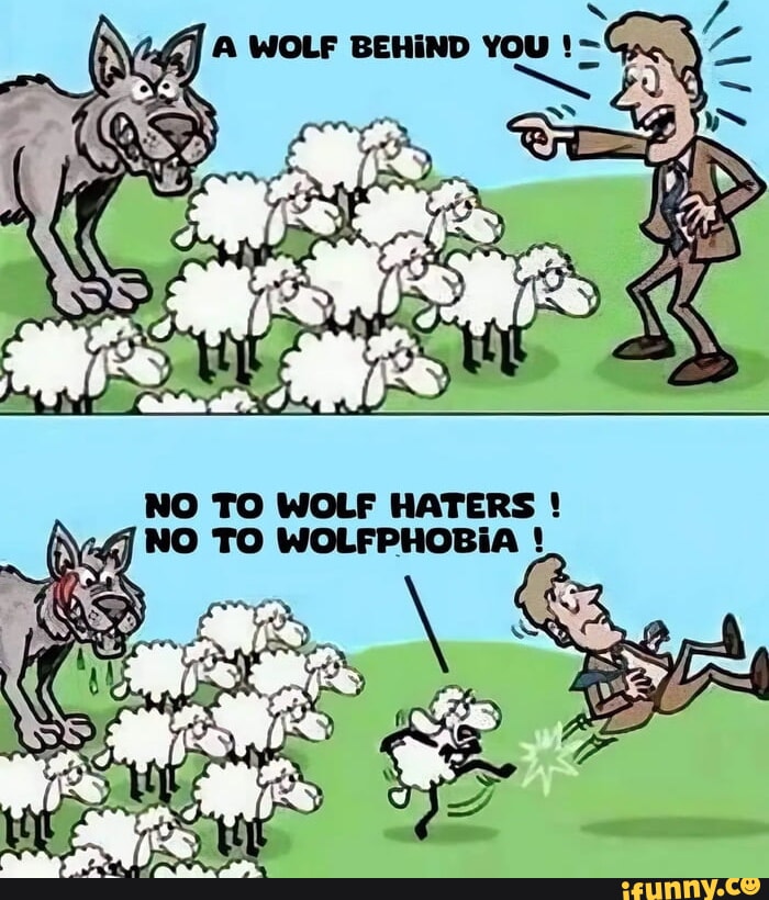 CSCT-002 They already made a JAV of Nezuko... Yamero... - iFunny