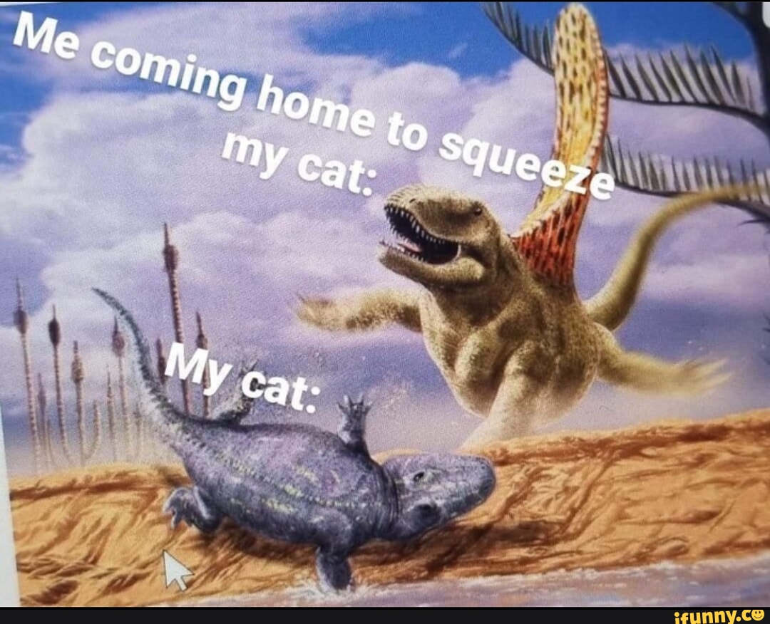 Dimetrodon memes. Best Collection of funny Dimetrodon pictures on iFunny