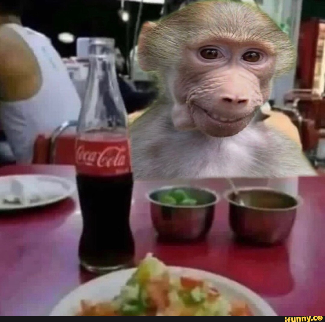 Pubert memes. Best Collection of funny Pubert pictures on iFunny