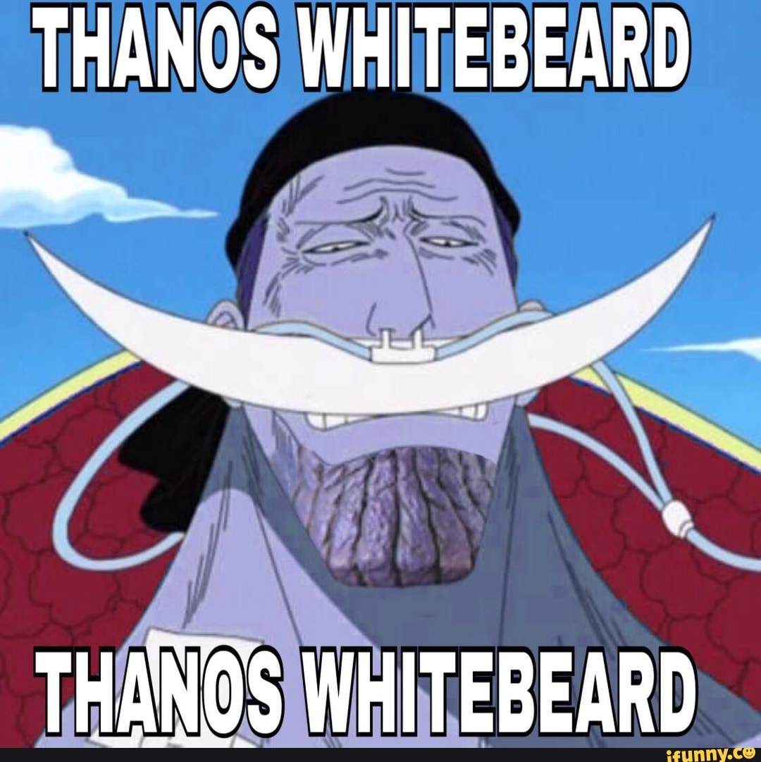 Iwhitebeard memes. Best Collection of funny Iwhitebeard pictures on iFunny