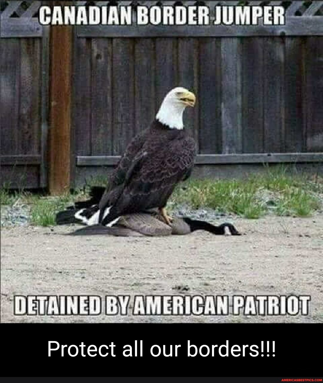 CANADIAN BORDER JUMPER Protect all our borders!!! - America’s best pics ...