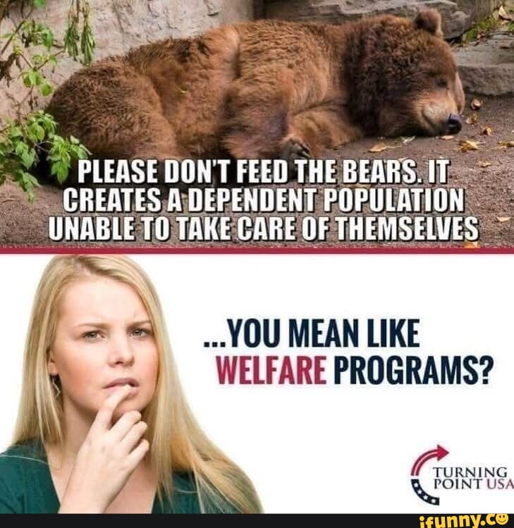 PLEASE DON'T T FEED THE BEARS. IT CREATES DEPENDENT POPULATION WAABLE ...