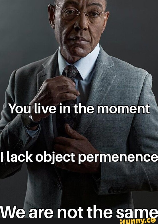 You live in the moment I lack object perm \We are not the same - iFunny