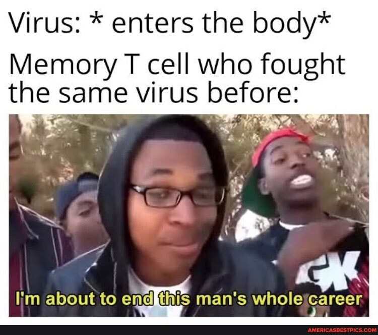 Virus: * enters the body* Memory T cell who fought the same virus ...
