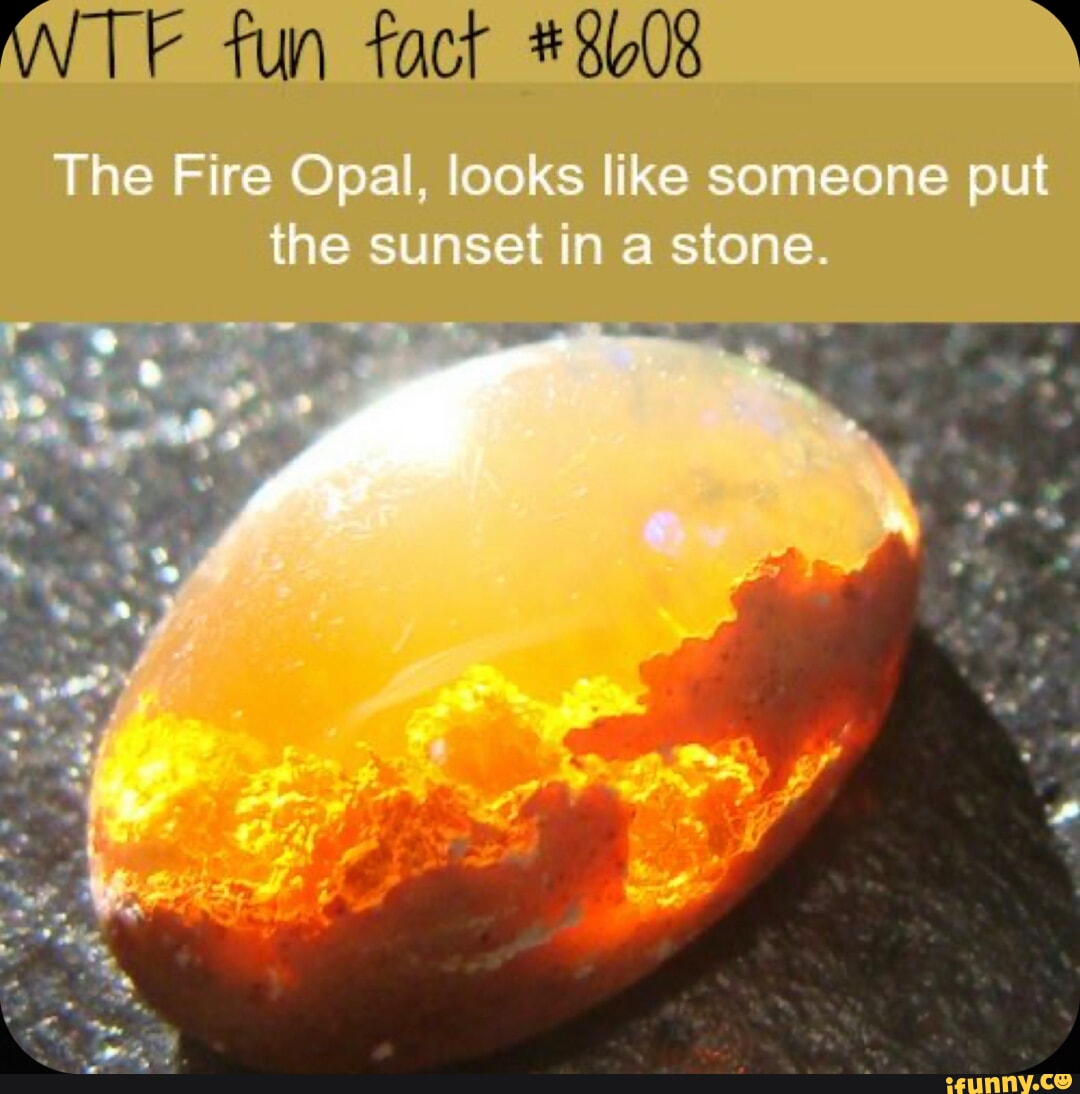 Opal memes. Best Collection of funny Opal pictures on iFunny