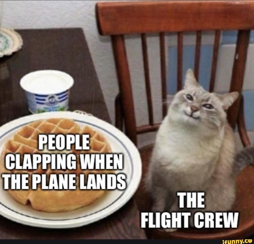 PEOPLE CLAPPING WHEN , THE PLANE LANDS THE FLIGHT CREW - iFunny