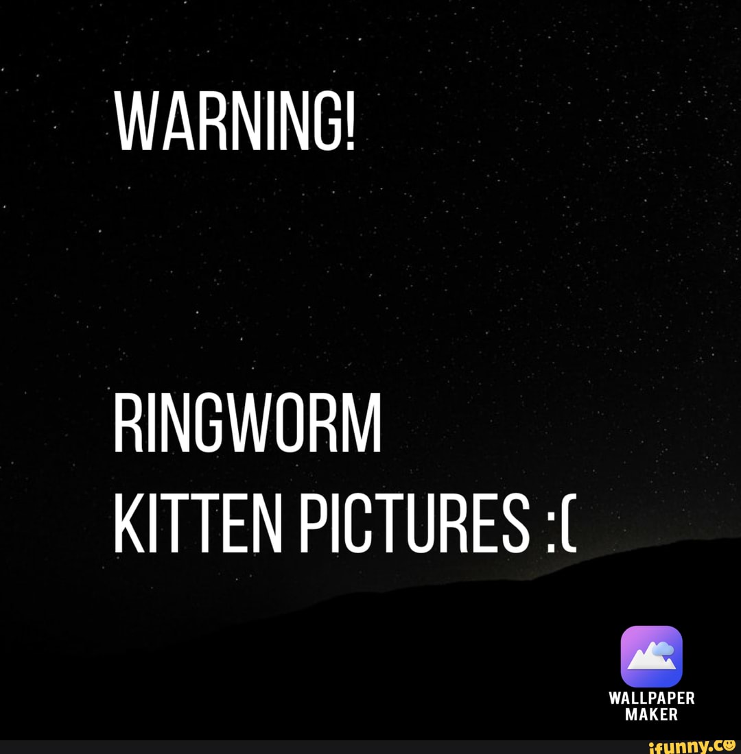 Picture memes bLjJZ0la9 by surreal_aww - )