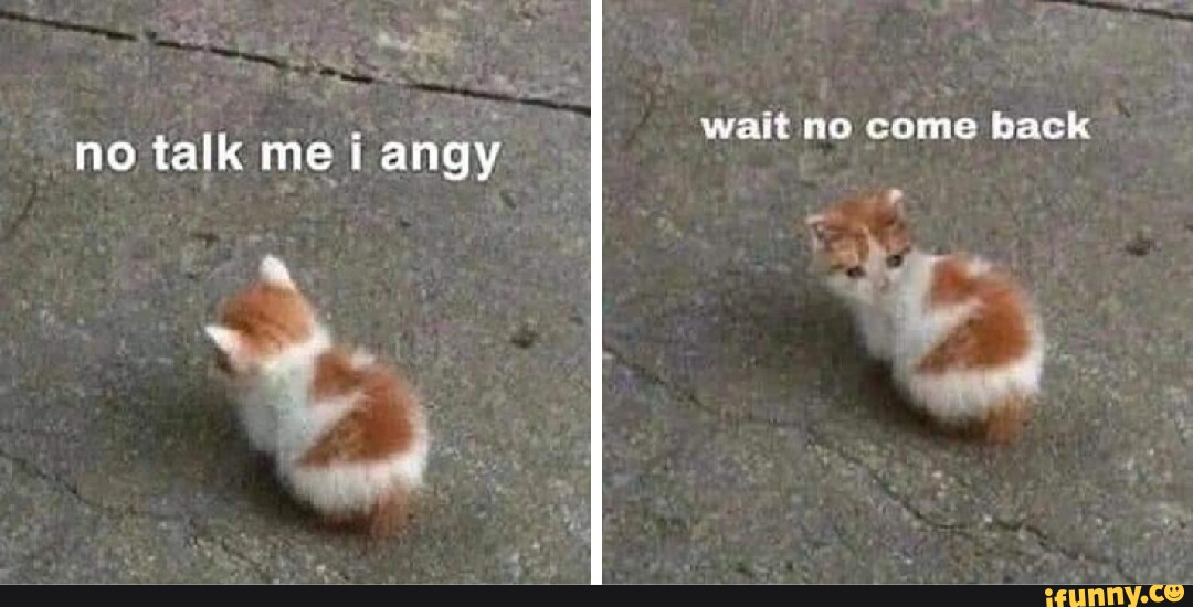 The first night when everything reopens - iFunny