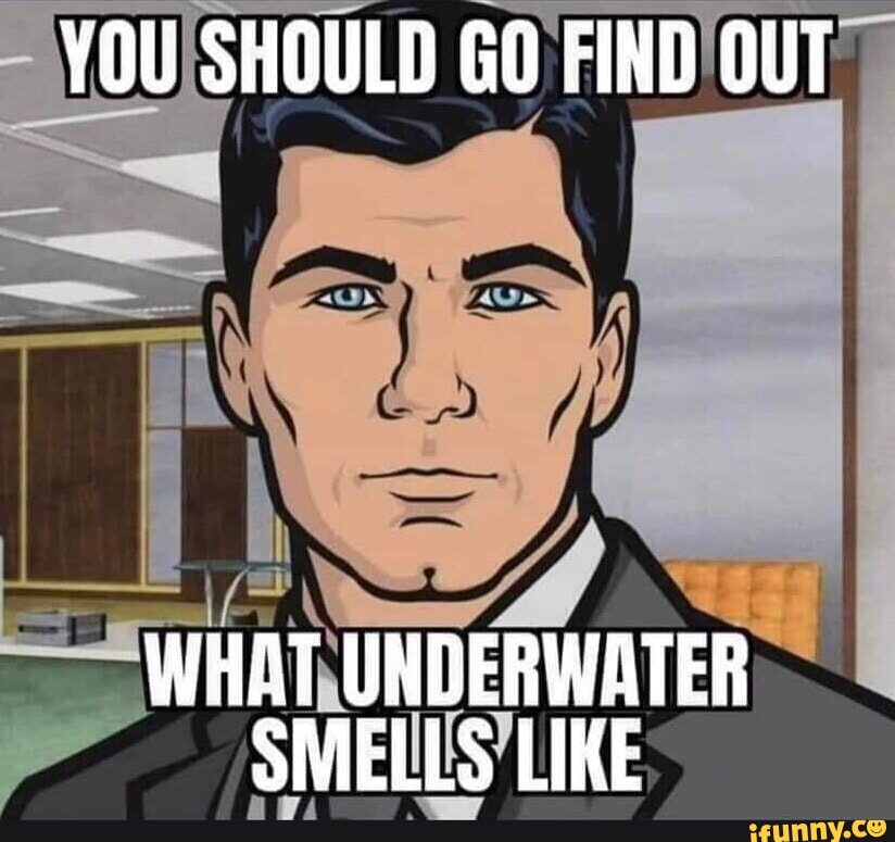 YOU SHOULD GO FIND OUT WHAT UNDERWATER SMELLS LIKE - iFunny