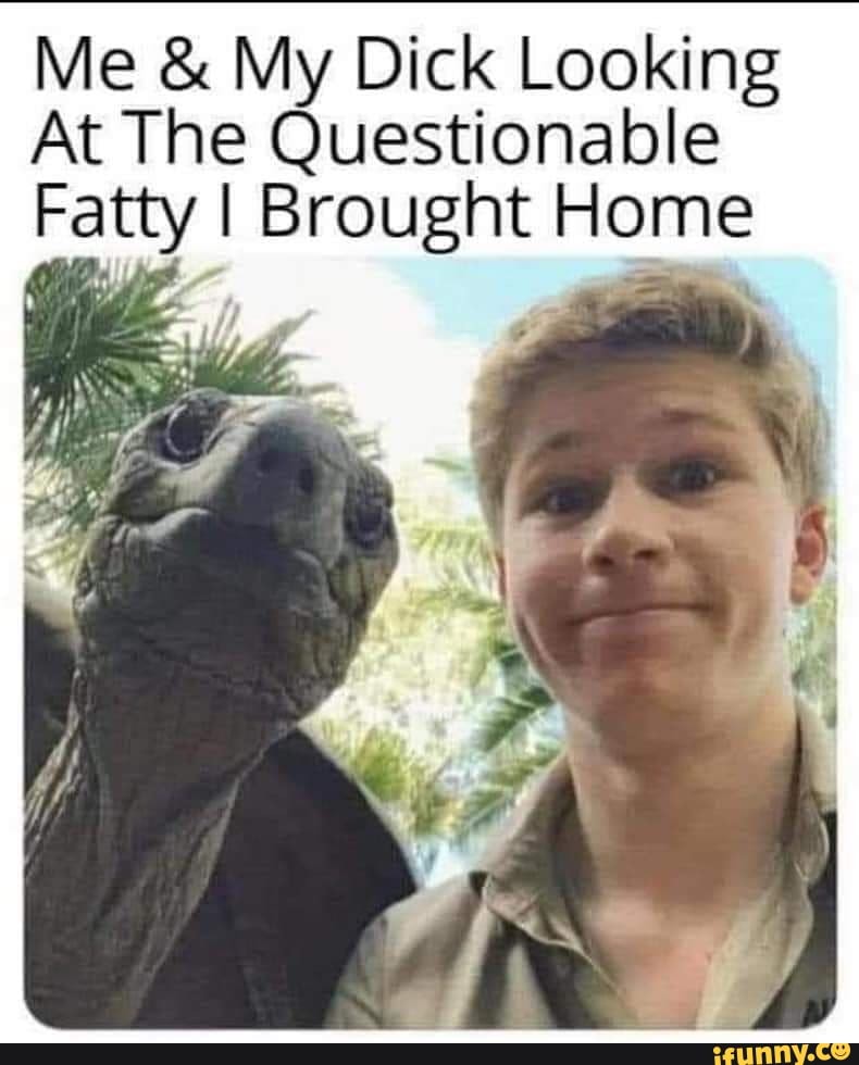 Me And My Dick Looking At The Questionable Fatty I Brought Home Ifunny