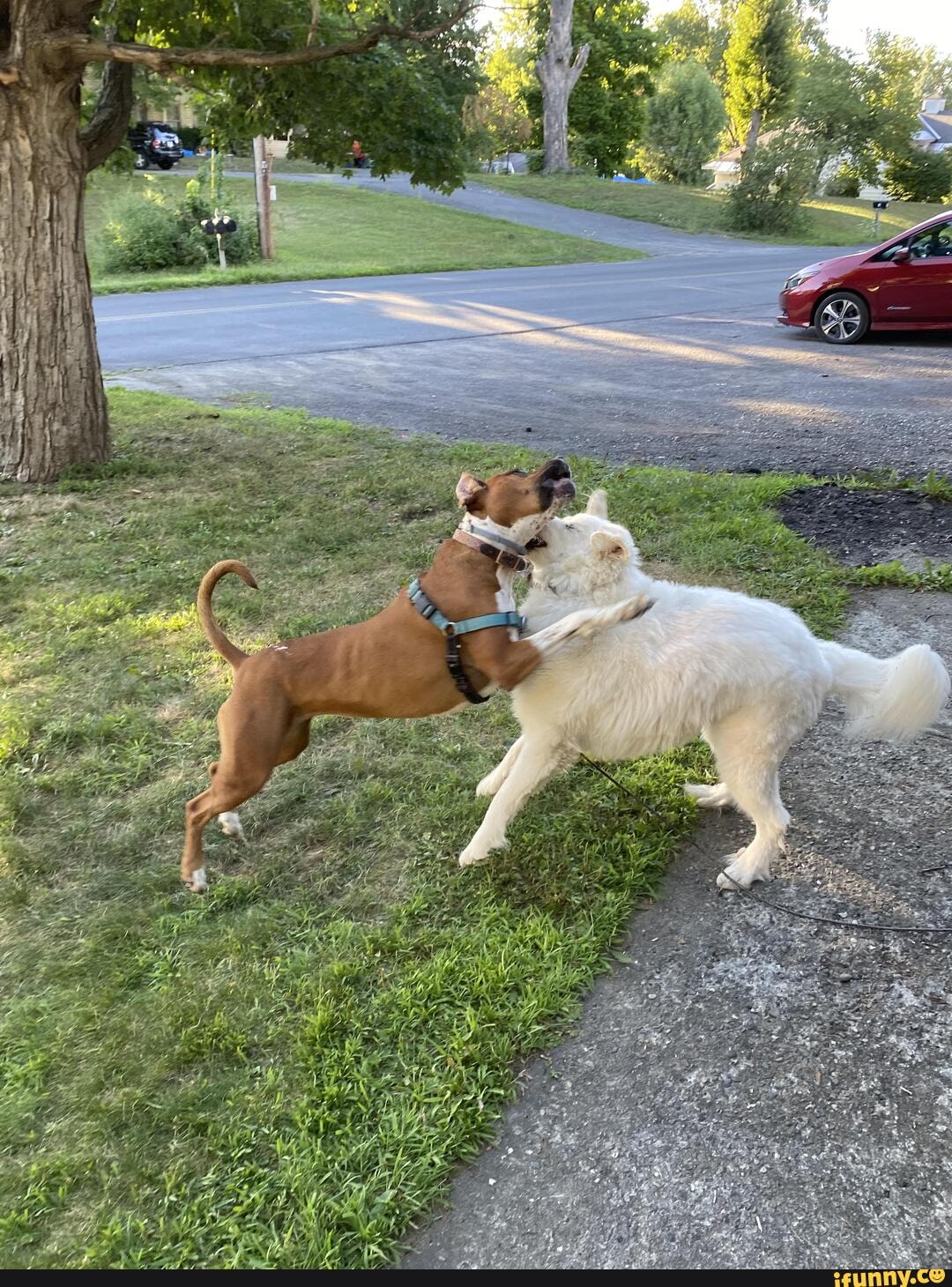 Headon memes. Best Collection of funny Headon pictures on iFunny