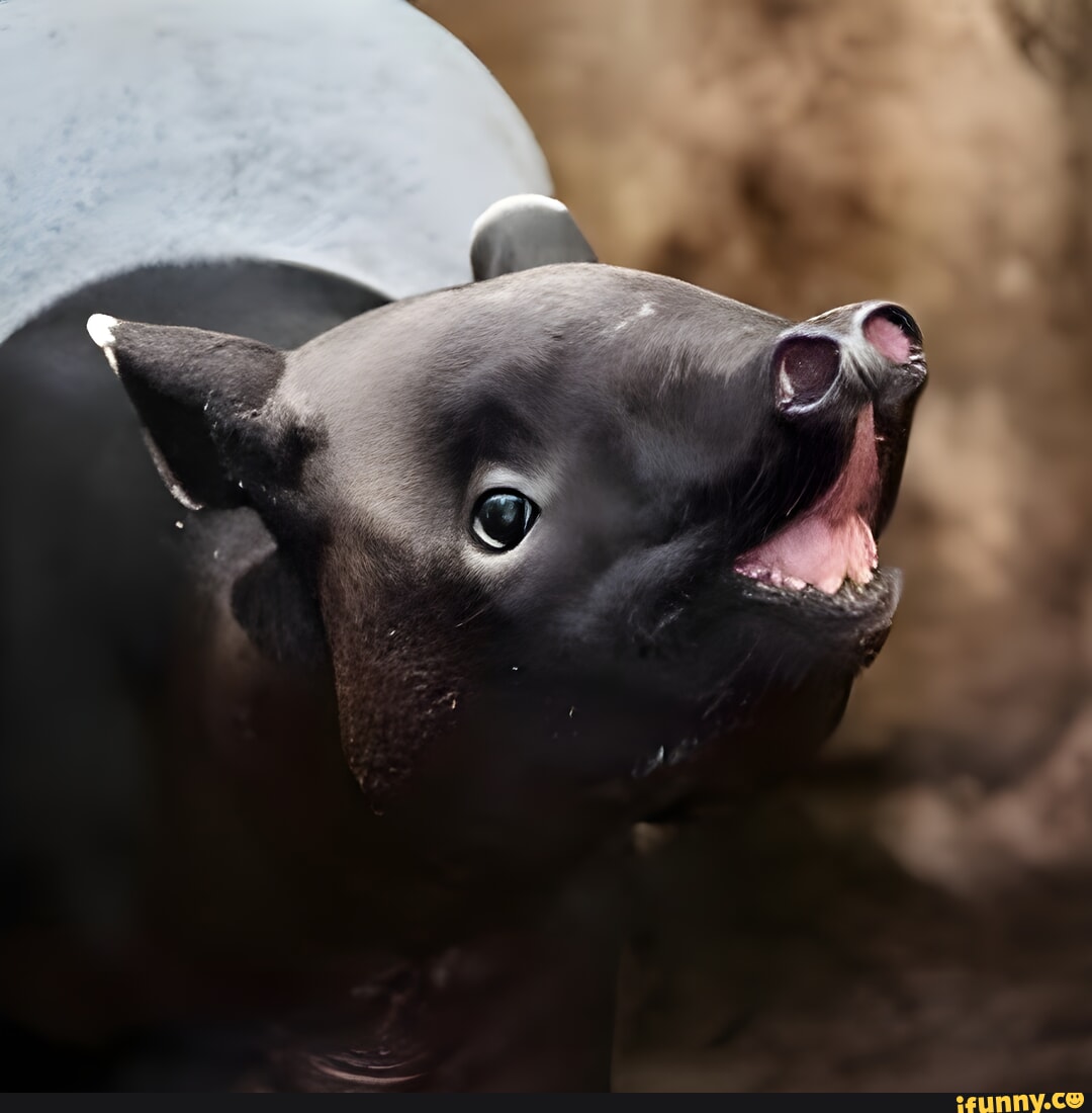 Smol memes. Best Collection of funny Smol pictures on iFunny