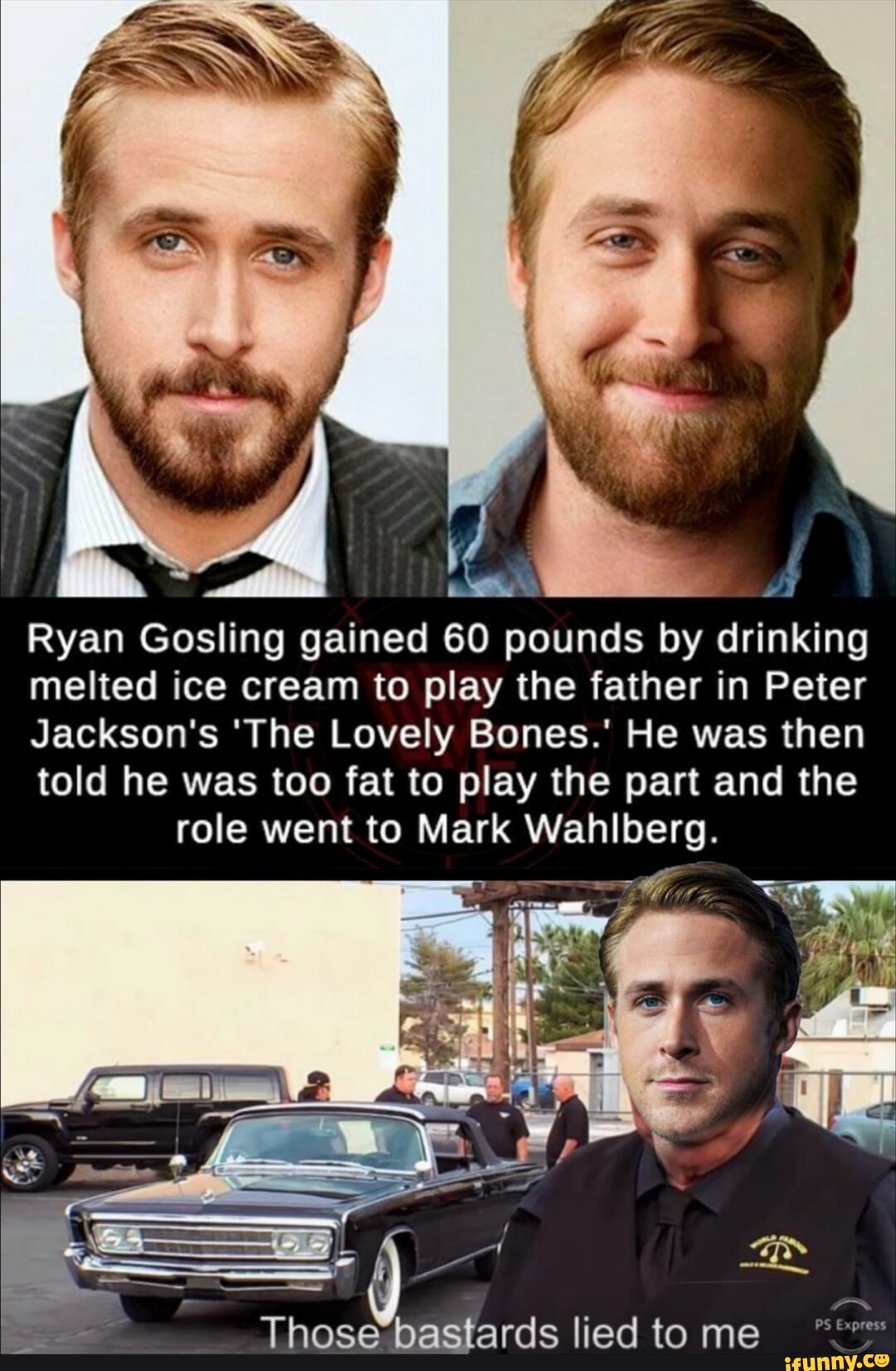 The first taxidermy walrus was much larger and smoother than a live ...