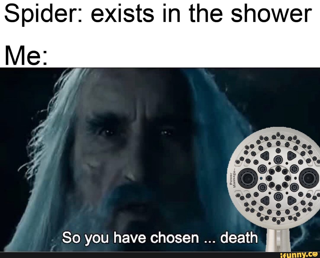 Spider: exists in the shower - )