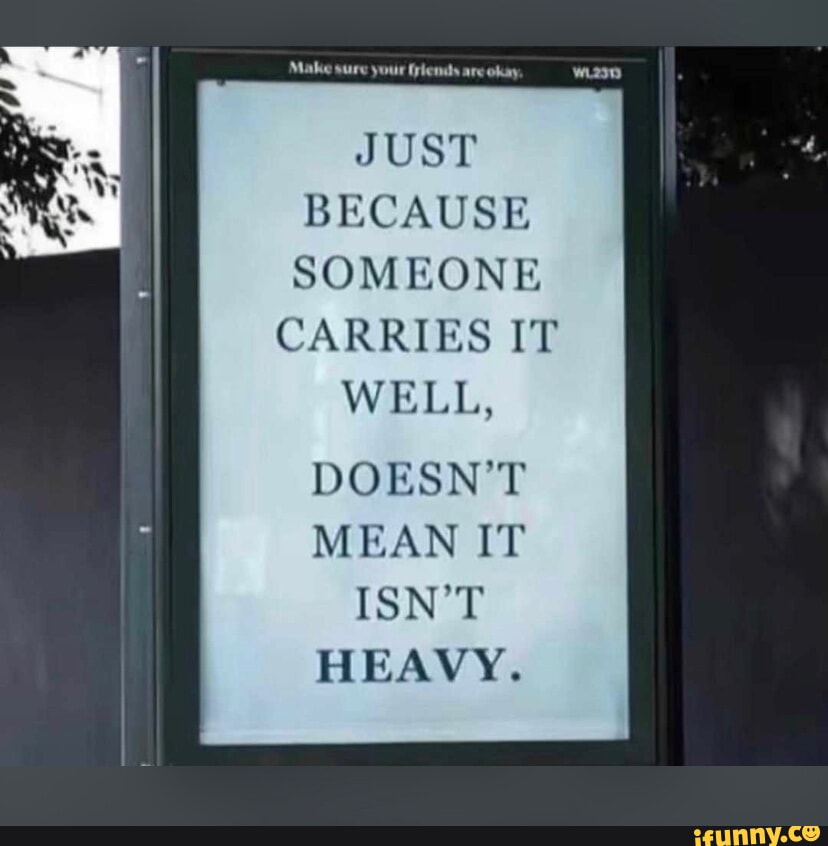 Aerodynamic model of Shimarin;> Two distinctive features, called ...